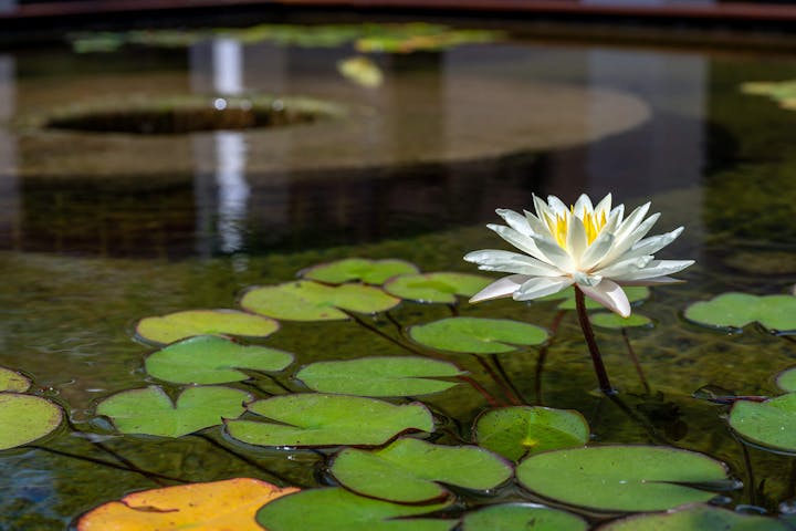 Hocker - West Texas Ranch